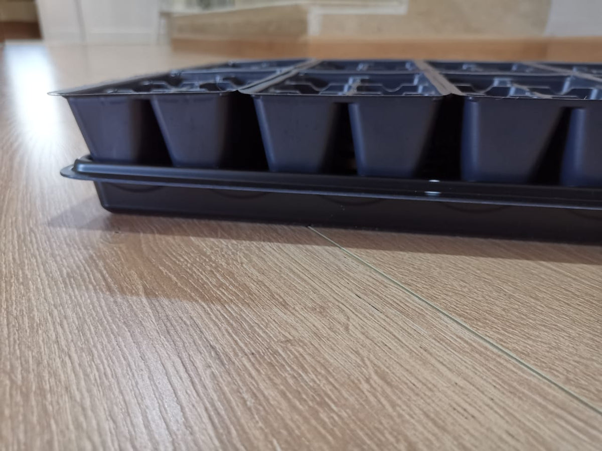 Shallow water tray – Raised.Bed_UAE